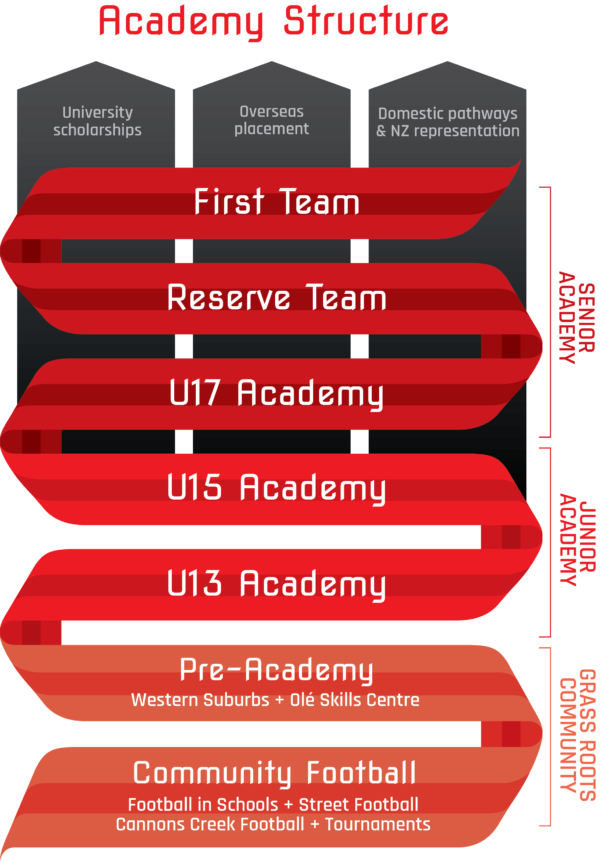 Olé Football Academy | Olé Football Academy